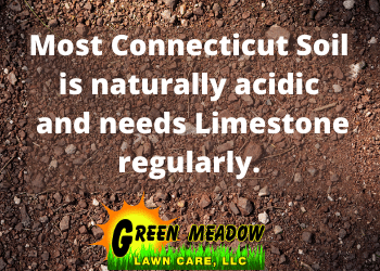 How to Test My Soil pH - [Signs that my Lawn is too Acidic or Alkaline]