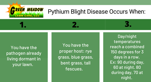 What Does Pythium Blight Look Like [disease Identification]