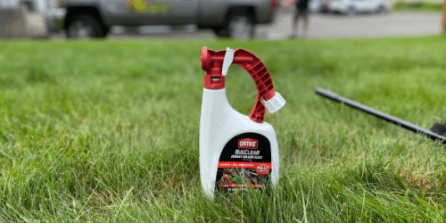 Tick Control Methods [DIY vs Professional]