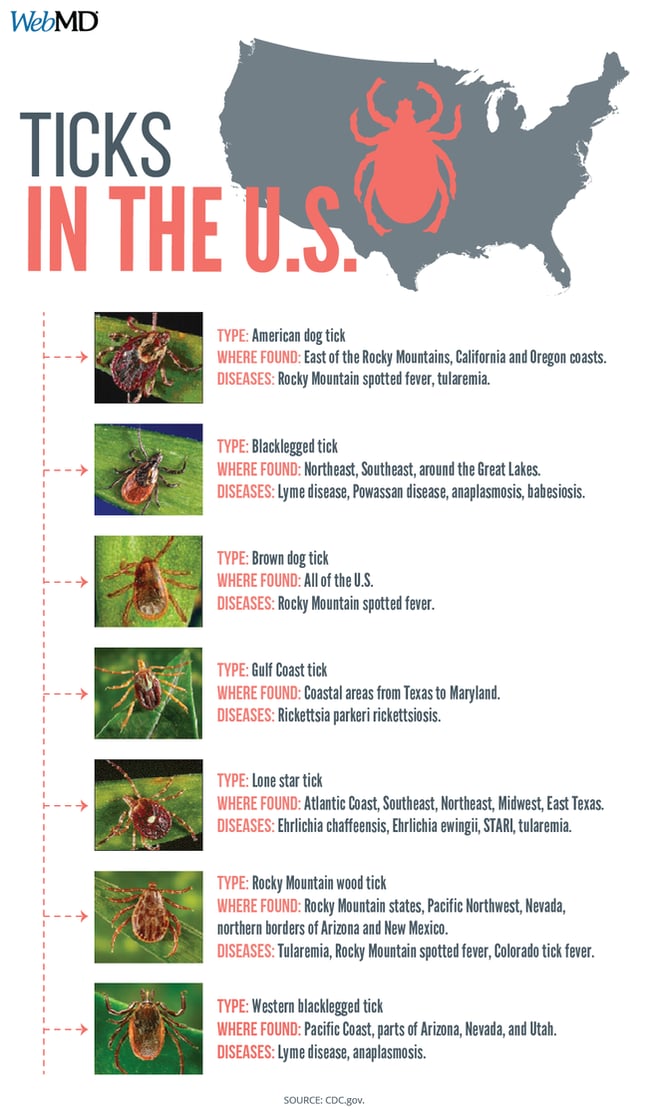 Tick Control vs Mosquito Control