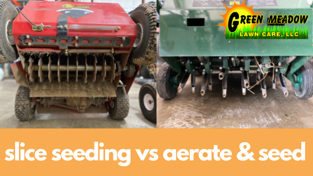 Slice Seeding vs Aeration & Seeding